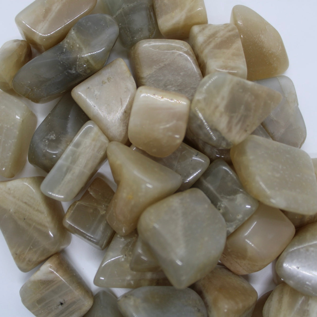 Moonstone Tumbled – The Crystal Traders